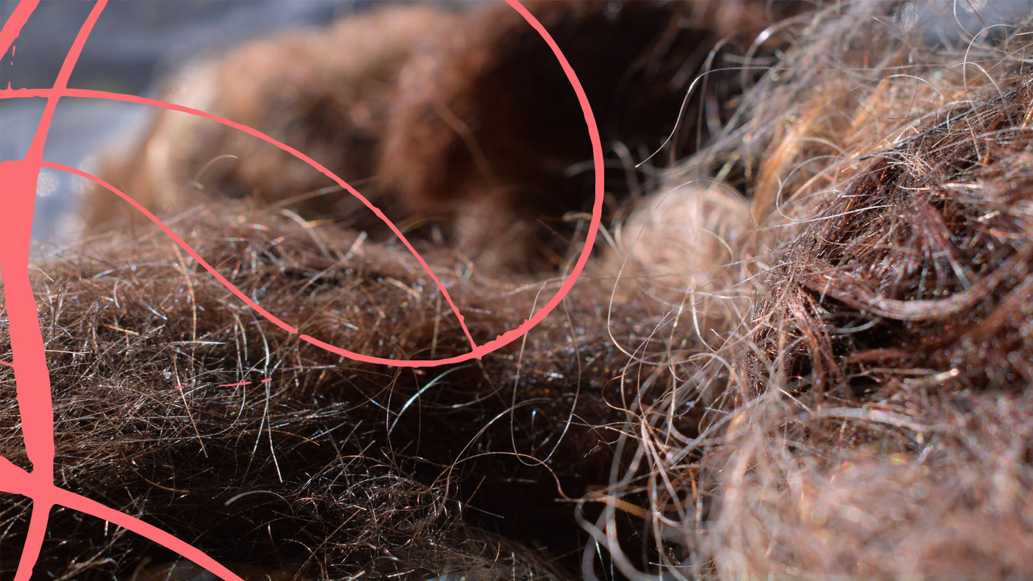 Understanding the Impact of Hair Waste and the Role of Green Salon Col ...