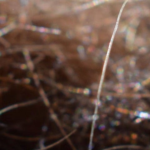 Salon Waste Disposal | Holistic Sustainability | Salon Recycling ...